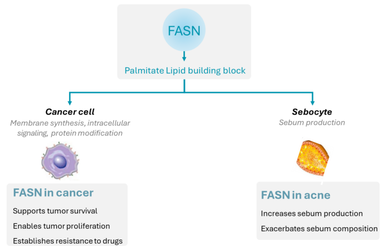 FASN - Sagimet Biosciences